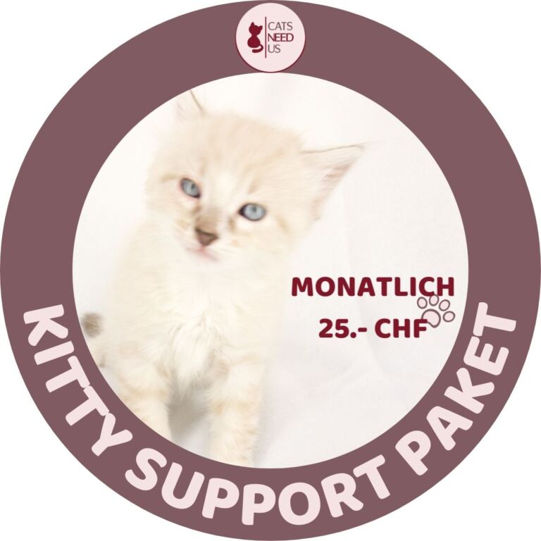 Kitty Support - Cats Need Us Tierschutz Spende, Helfen Sie Katzen in Not